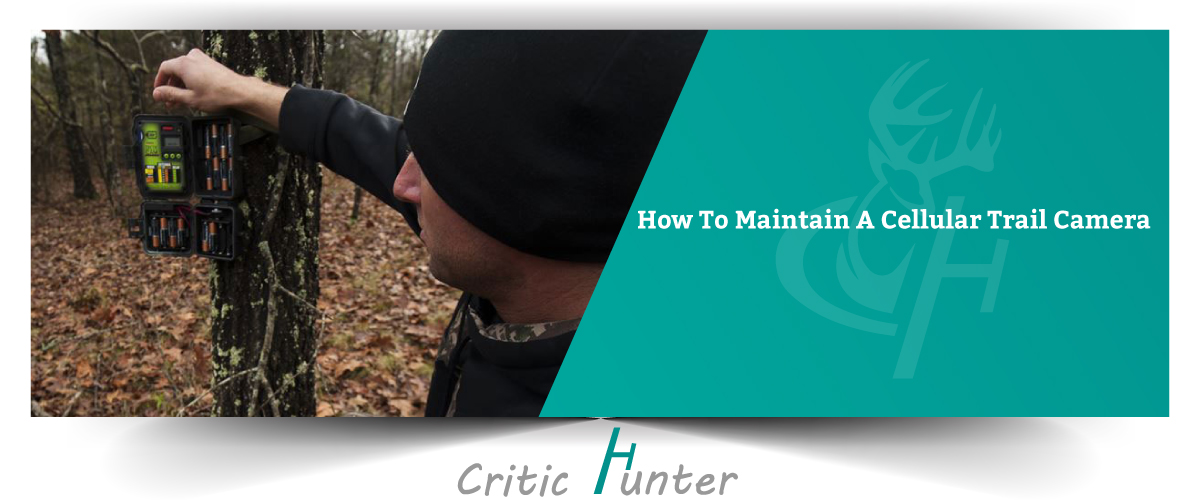 How To Use A Trail Camera For Security? – Hunts Tool